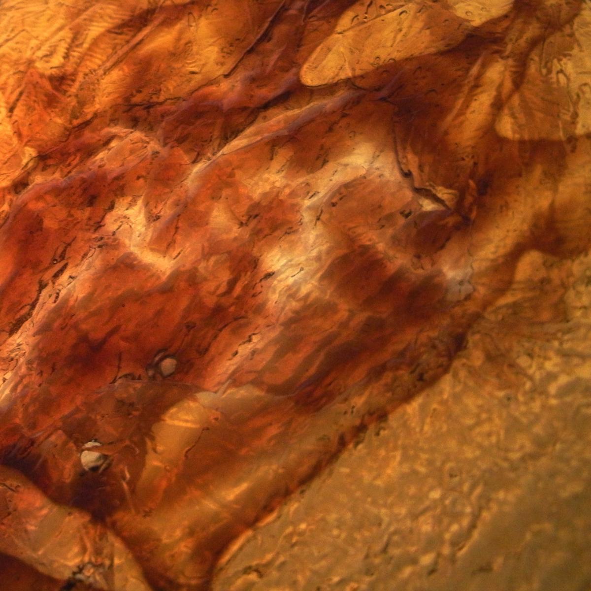 Envel Designs Gallery 2 - some more fine examples of Acrylic Panel Art ...