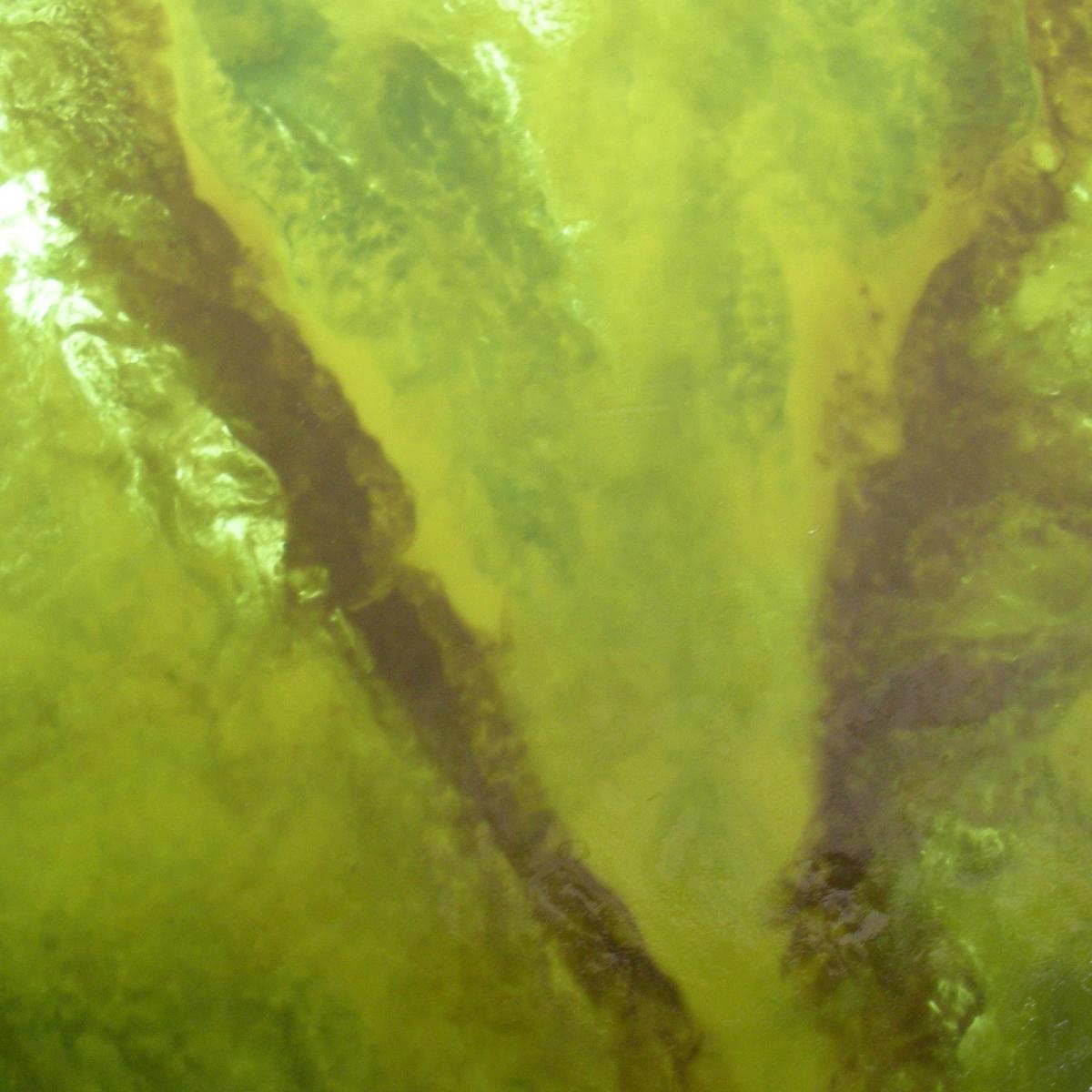 Envel Design Gallery of Samples | Source-Book