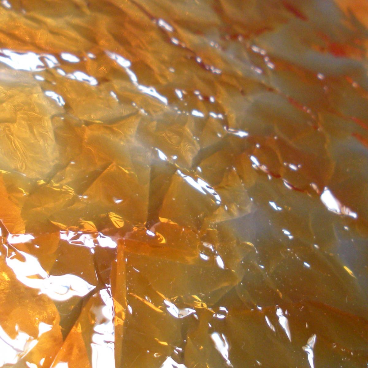 Envel Designs Gallery 2 - some more fine examples of Acrylic Panel Art ...